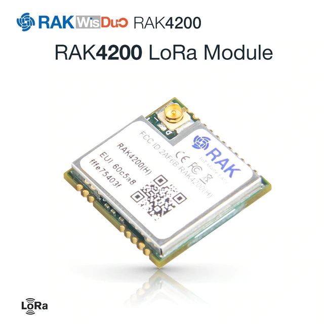 WisDuo LPWAN Module RAK4200 | On-Demand Enterprise Solution Singapore