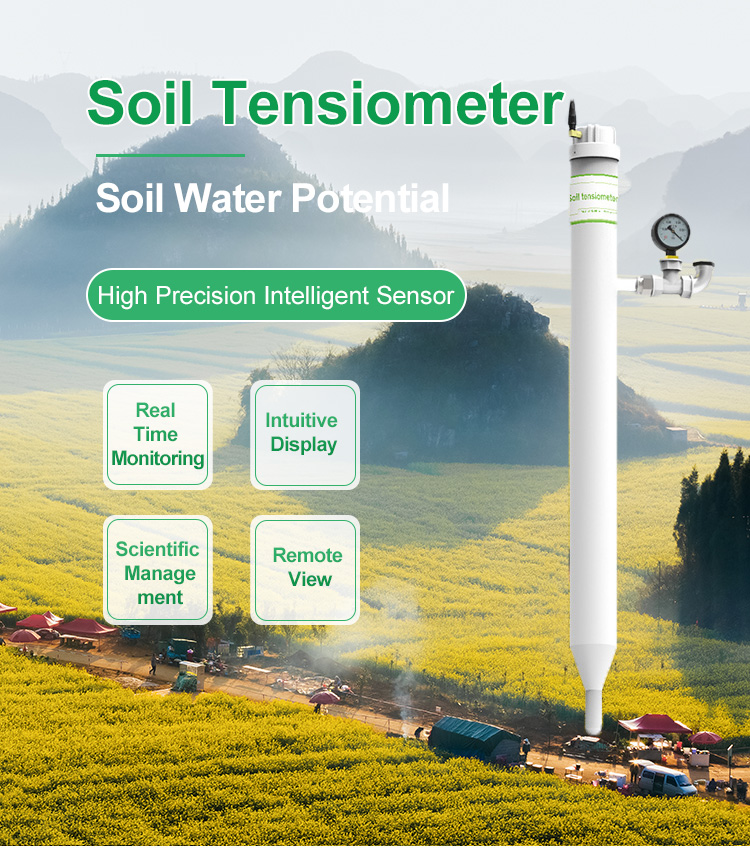 RS485 soil water potential sensor | On-Demand Enterprise Solution Singapore